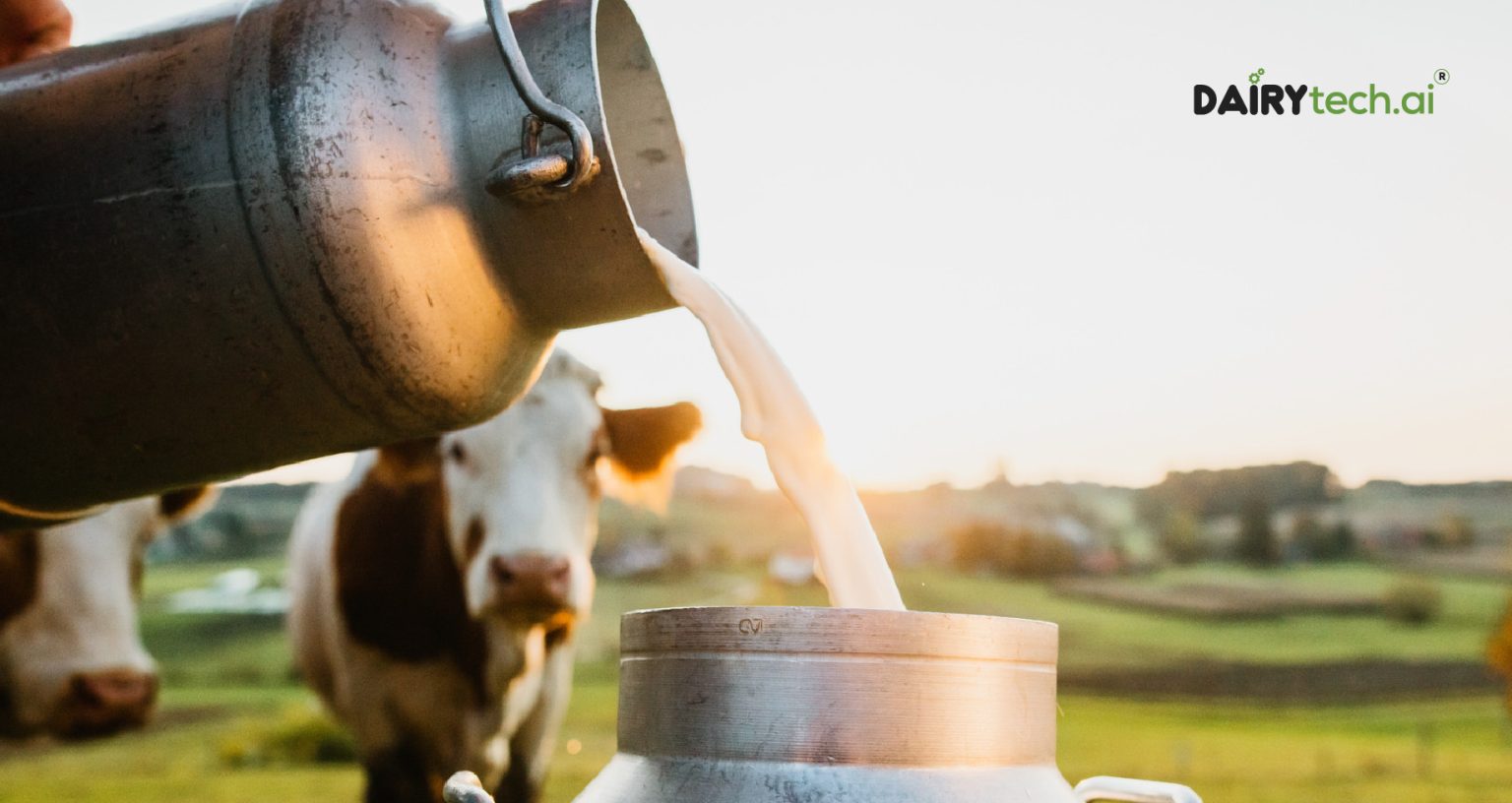 What is Dairy Supply Chain?