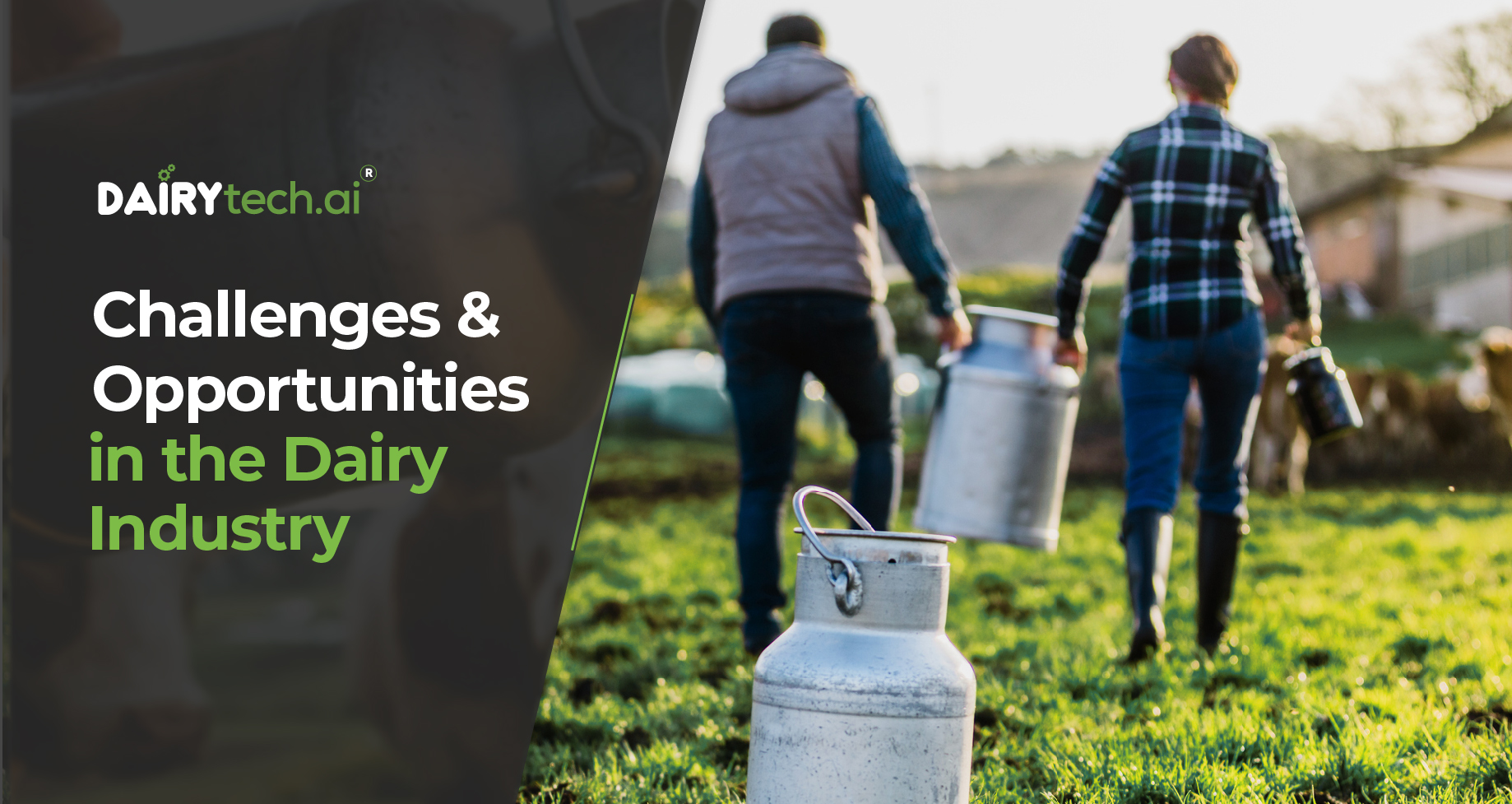 Challenges And Opportunities In The Dairy Industry